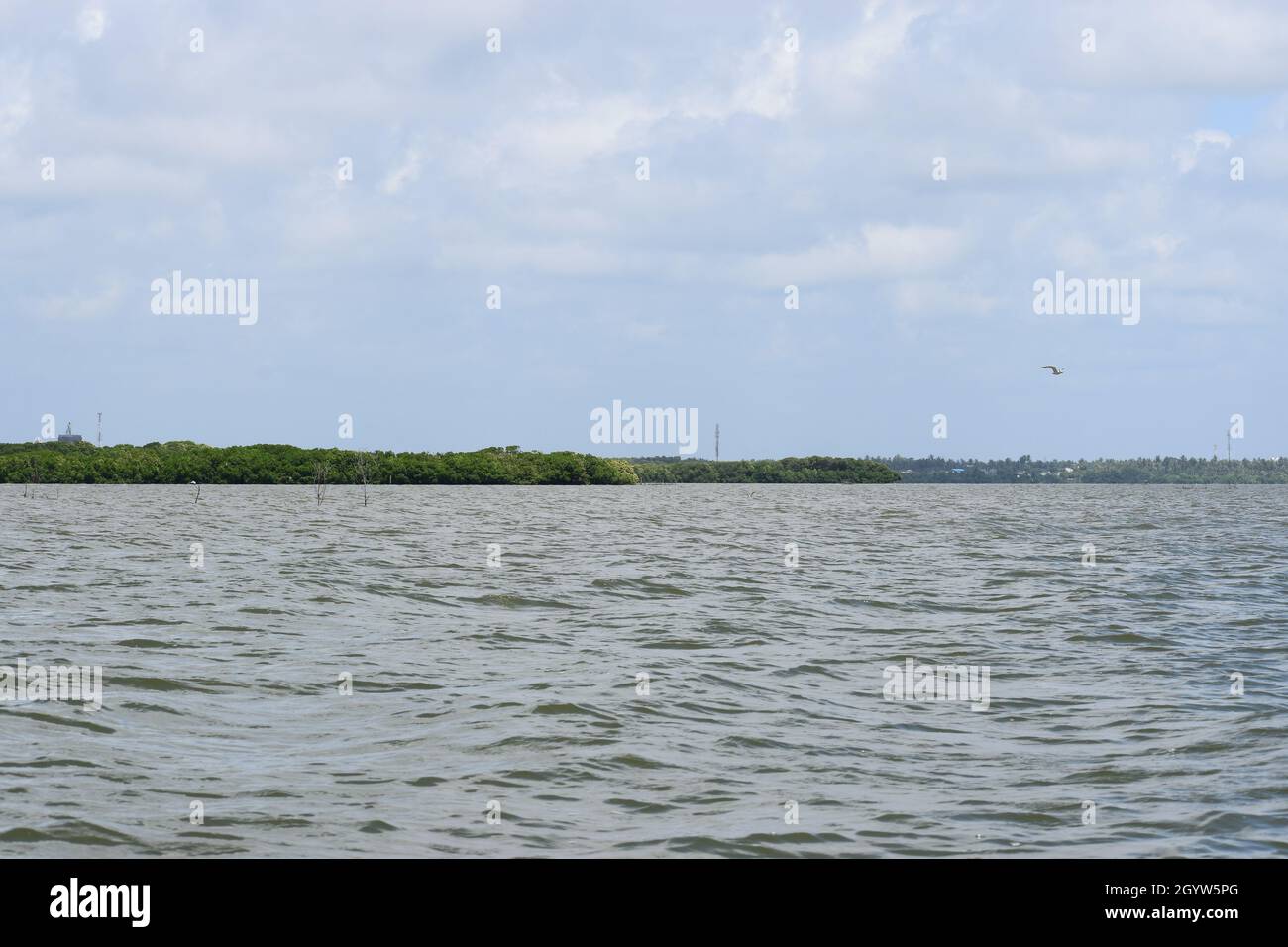Lagoon green hi-res stock photography and images - Alamy