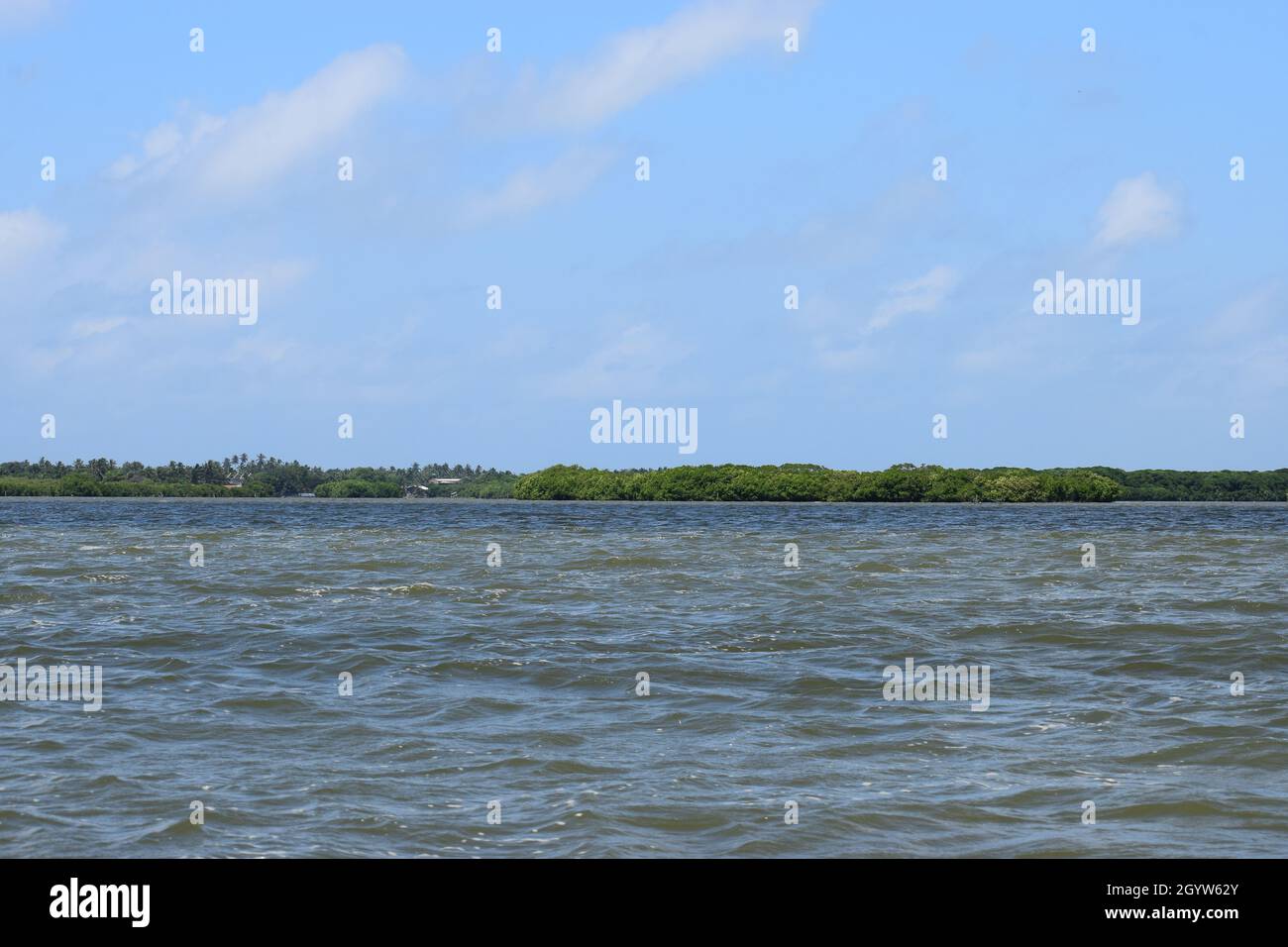 Water lagoon nature Stock Photo - Alamy