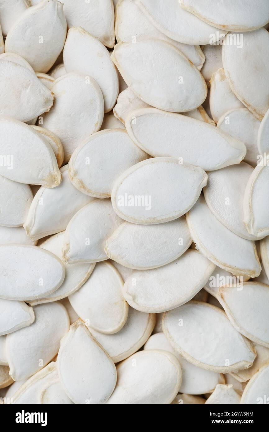 Pumpkin seeds in a shell as a textural background. full screen super ...
