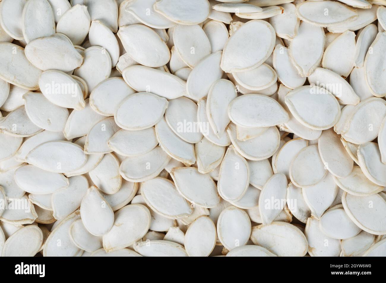 Pumpkin seeds in a shell as a textural background. full screen super ...