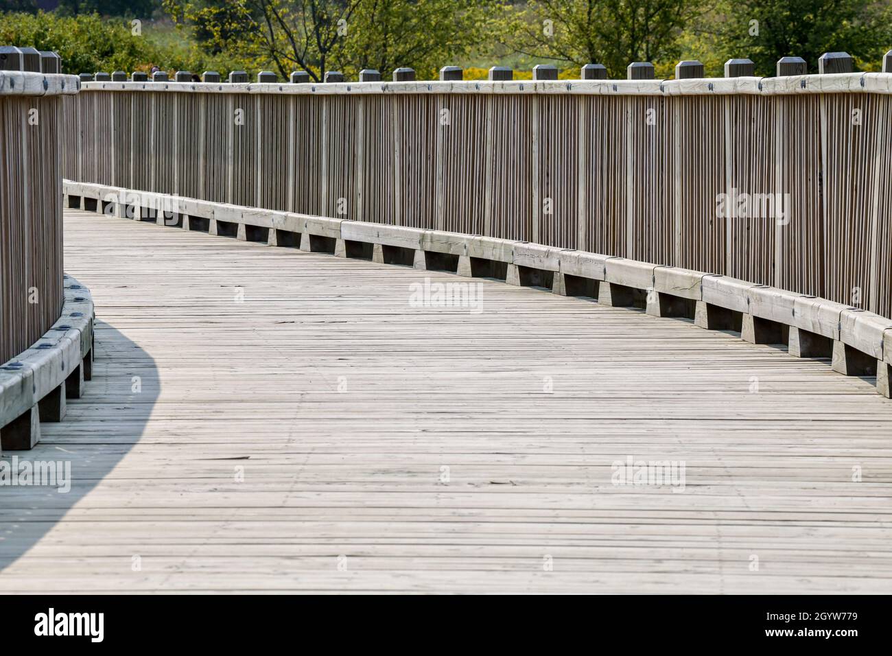 Wooden boardwalk hiking path through the woods Stock Photo - Alamy