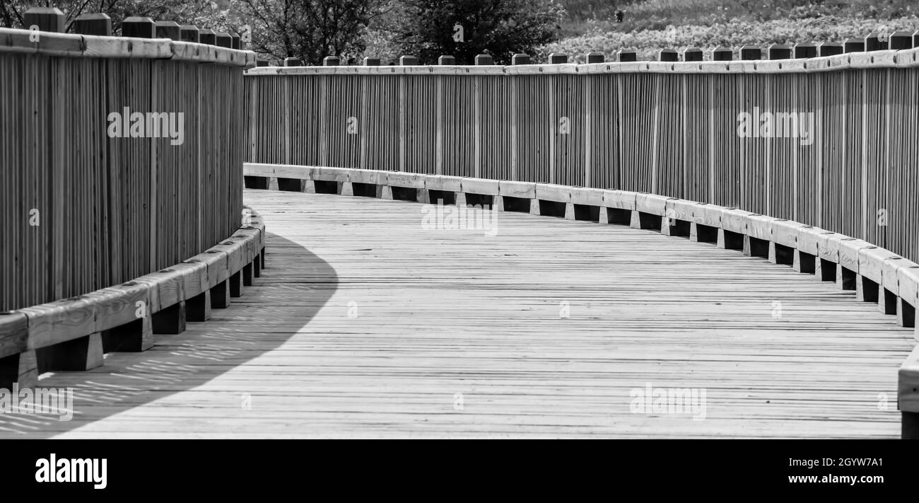 Wooden boardwalk hiking path through the woods Stock Photo - Alamy