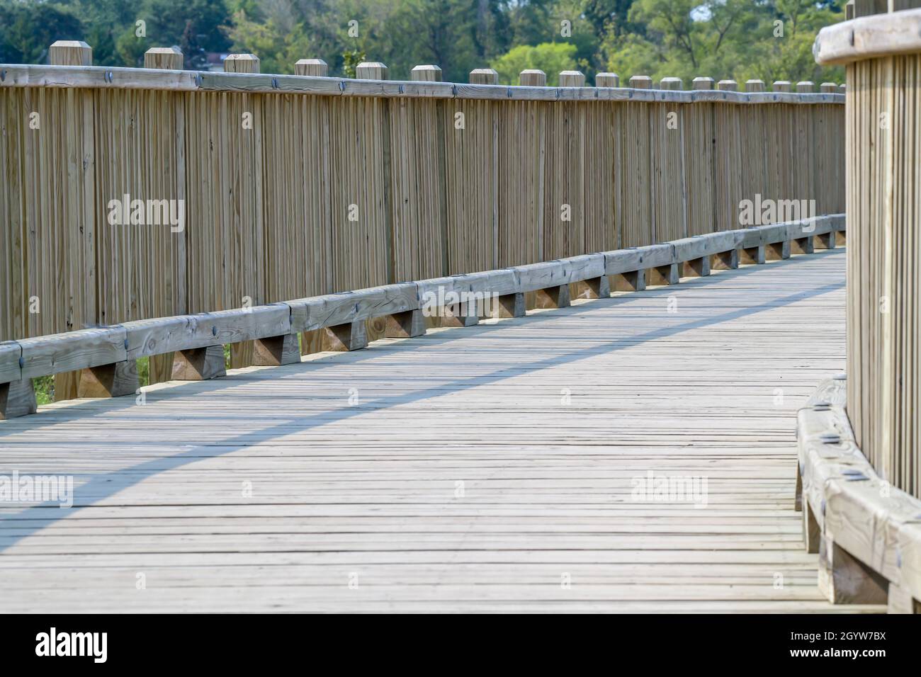 Wooden boardwalk hiking path through the woods Stock Photo - Alamy