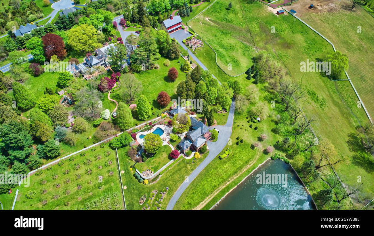 An Aerial View of Beautifully Blooming Trees and Plants and Unique ...