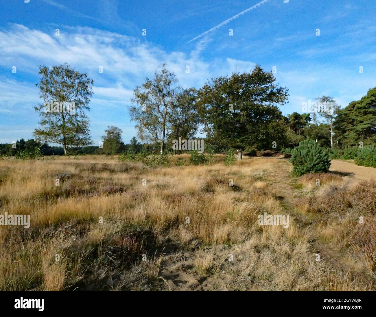 Heather sand hi-res stock photography and images - Alamy