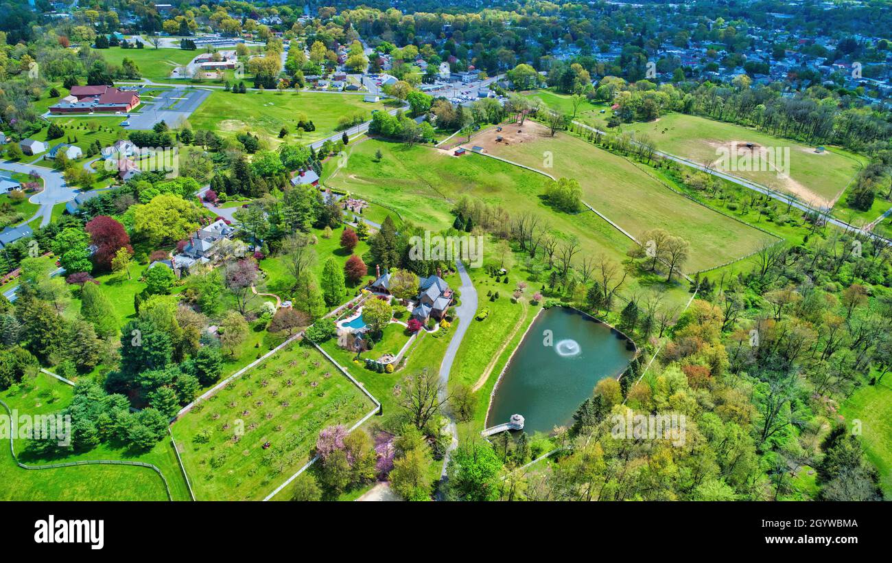 An Aerial View of Beautifully Blooming Trees and Plants and Unique ...