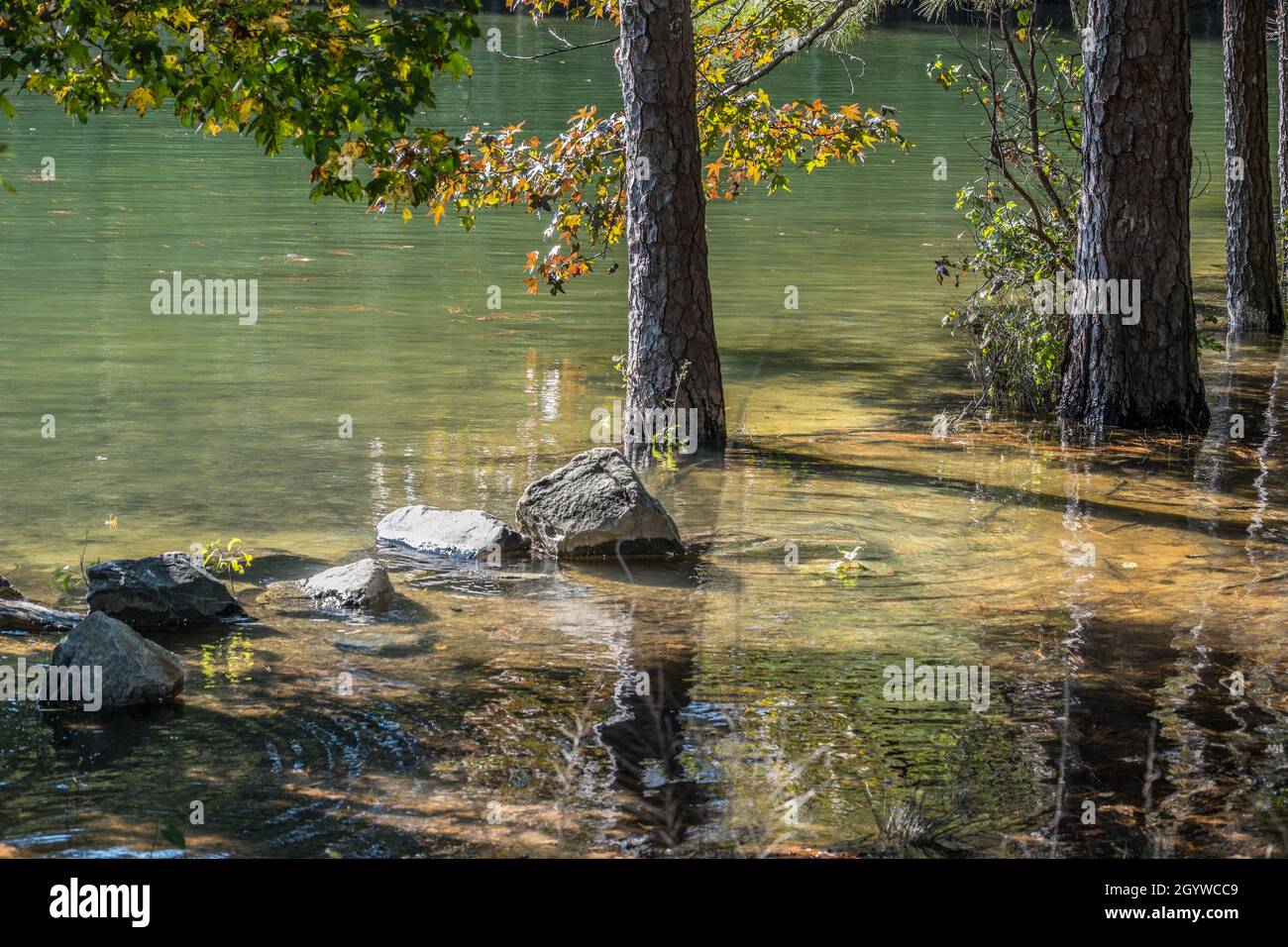 Heavy rainfall causing flooding at the lake covering rocks trees and ...