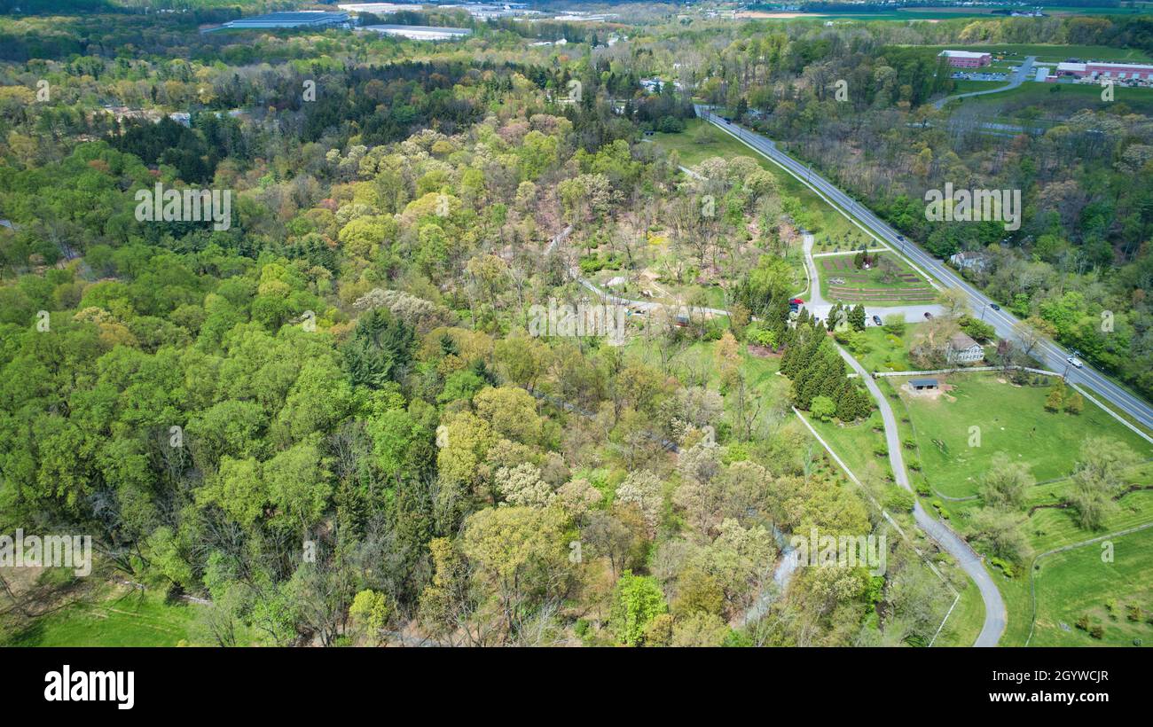 An Aerial View of Beautifully Blooming Trees and Plants and Unique ...