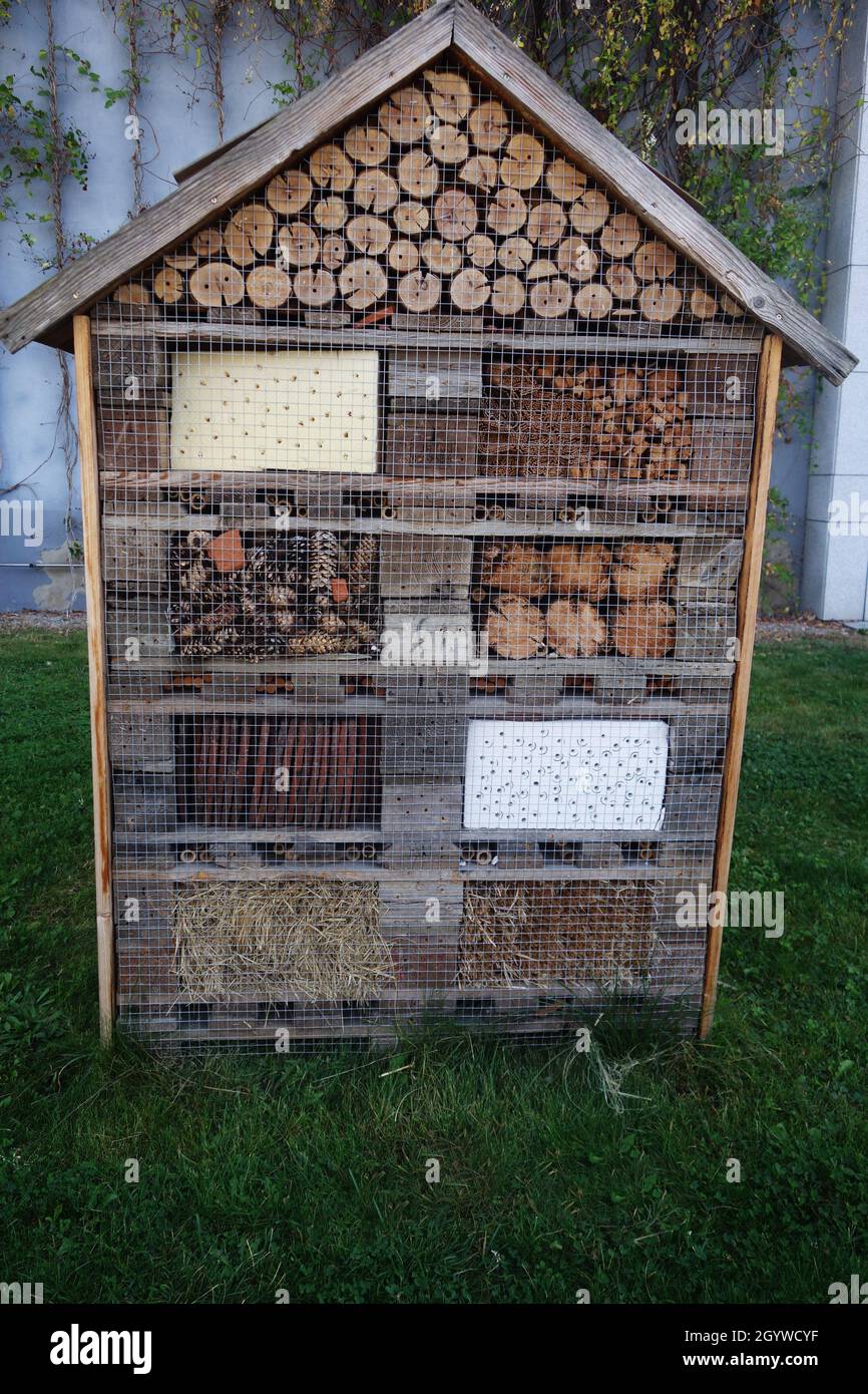 An insect hotel, also known as a bug hotel or insect house, is a ...
