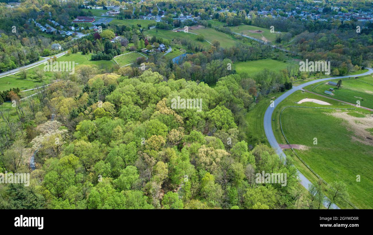 An Aerial View of Beautifully Blooming Colored Trees and Plants and ...