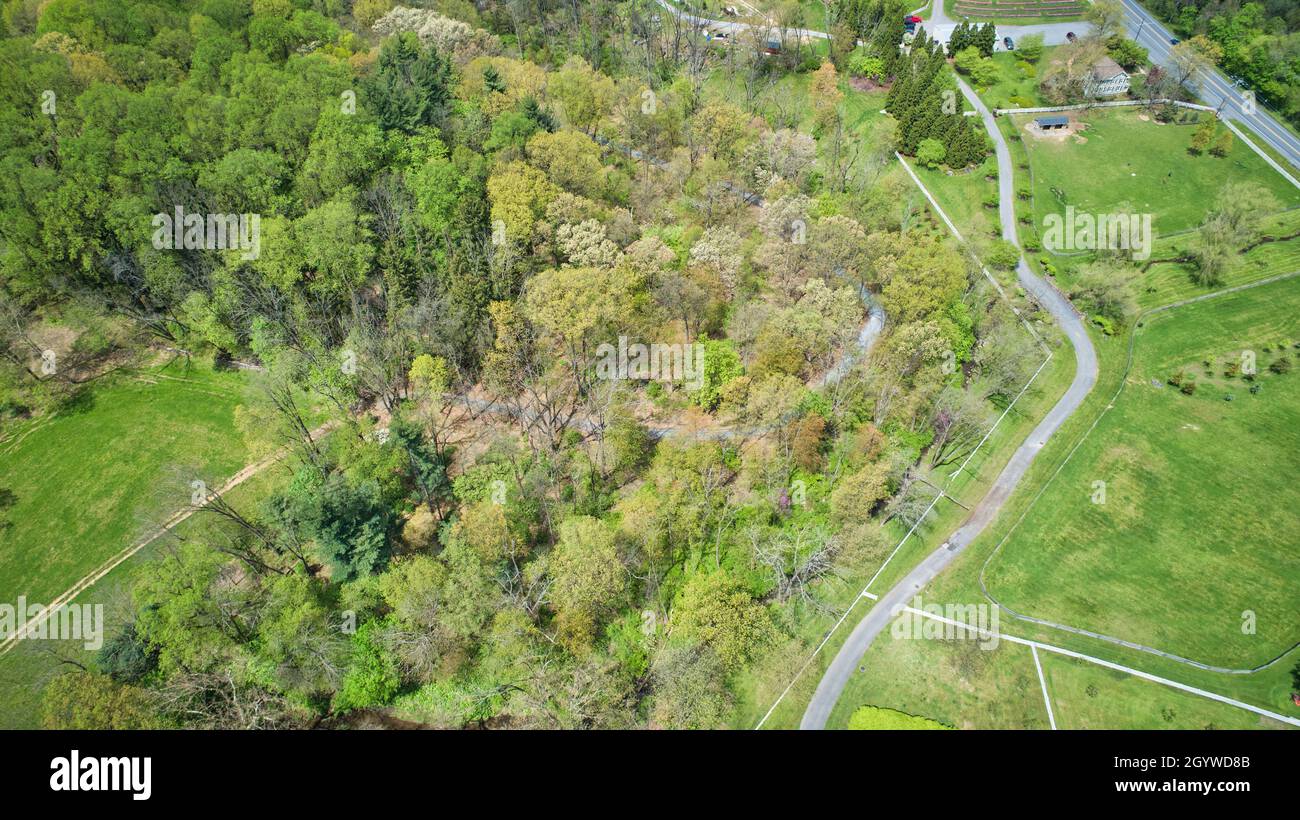 An Aerial View of Beautifully Blooming Trees and Plants and Unique ...