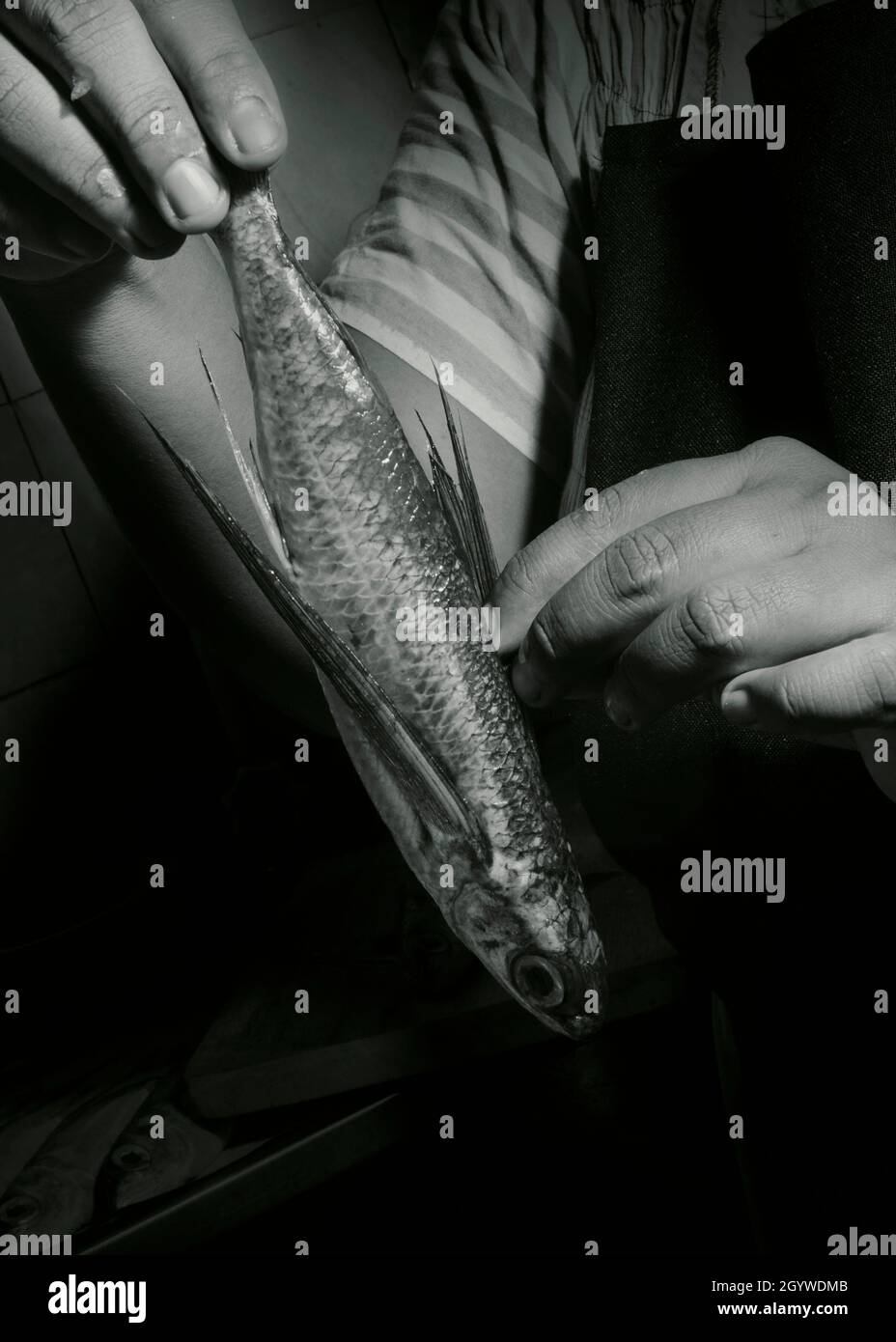 Women holding Fish in hand (Flying fish). Close up. Black and white ...