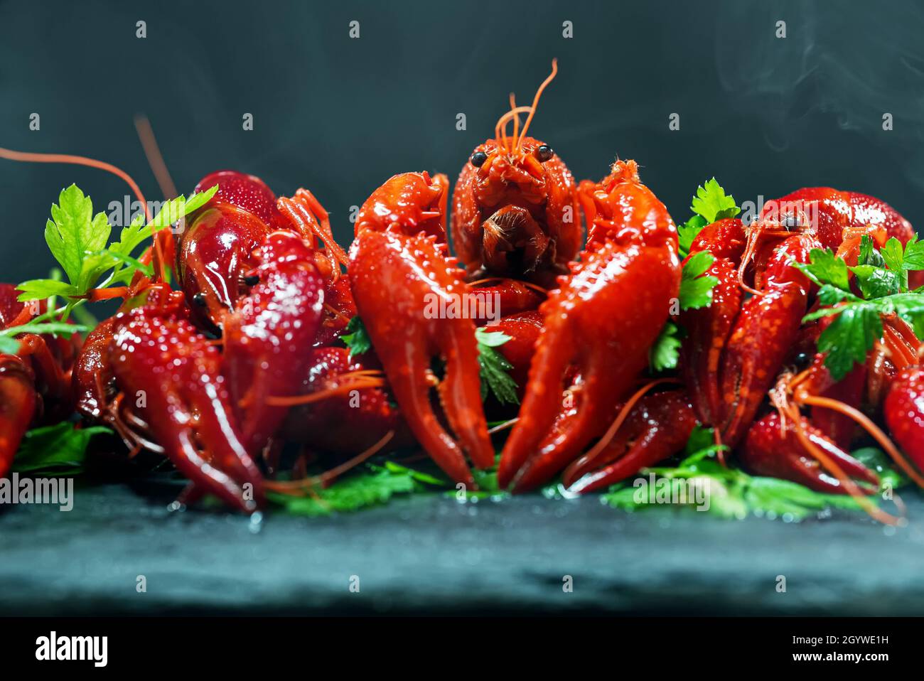 Red boiled cooked crayfish crawfish on tabletop Stock Photo - Alamy