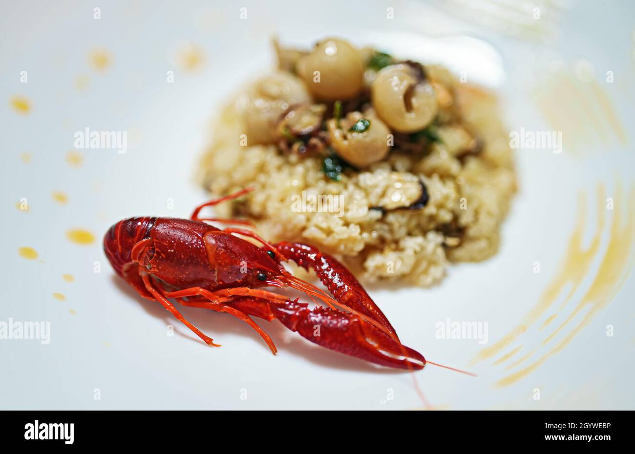 Risotto with cuttlefish hi-res stock photography and images - Alamy