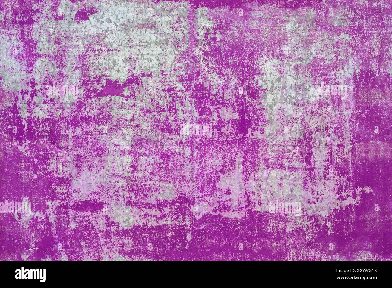 seamless texture of peeled off purple paint on zinc plated flat steel ...
