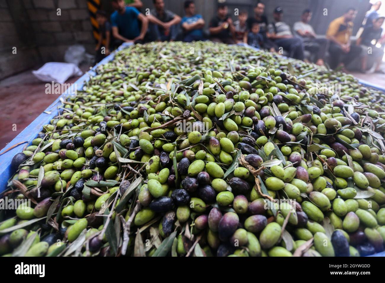 October 9, 2021, Gaza city, The Gaza Strip, Palestine: Palestinian at ...
