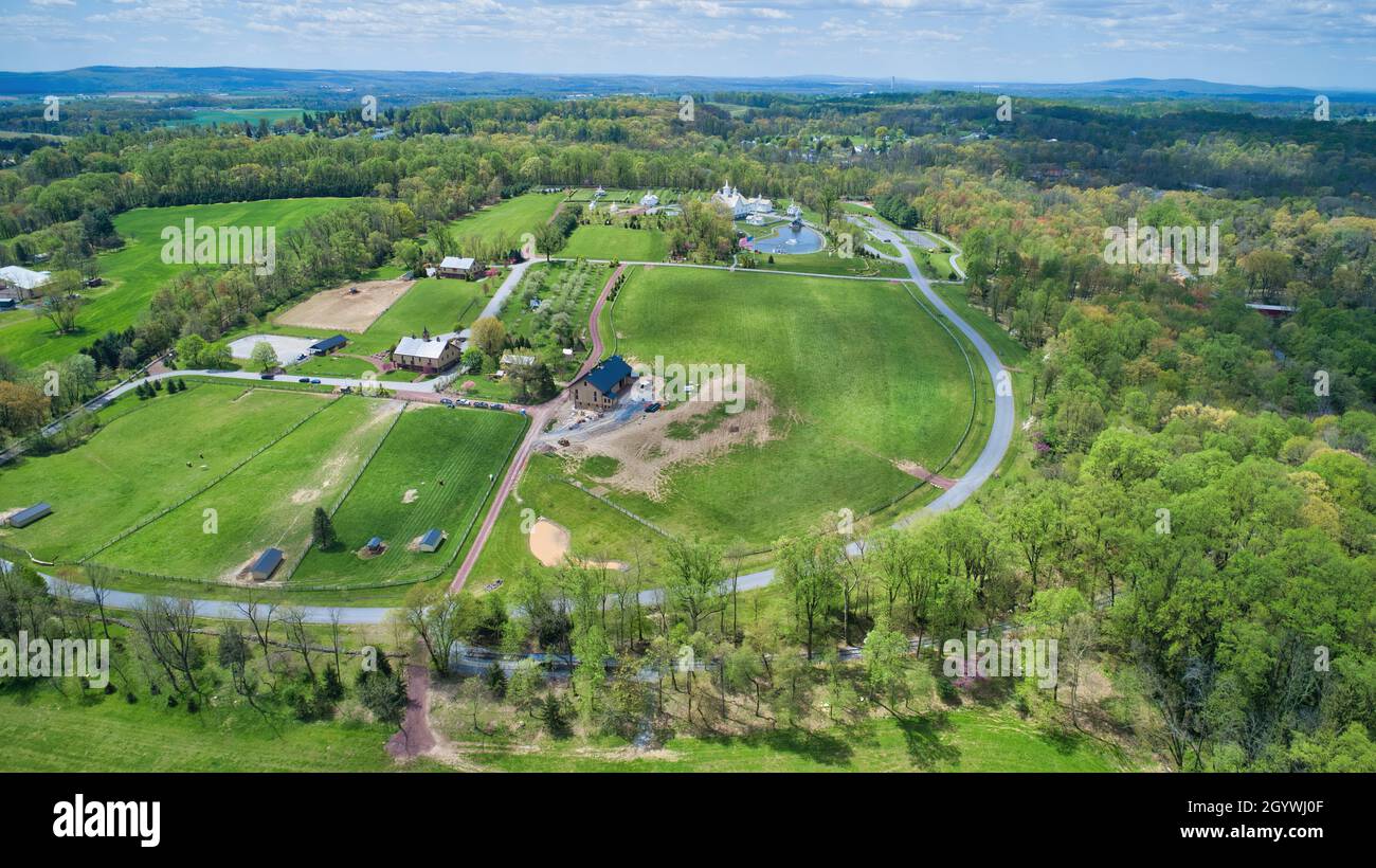 An Aerial View of Beautifully Blooming Trees and Plants and Unique ...