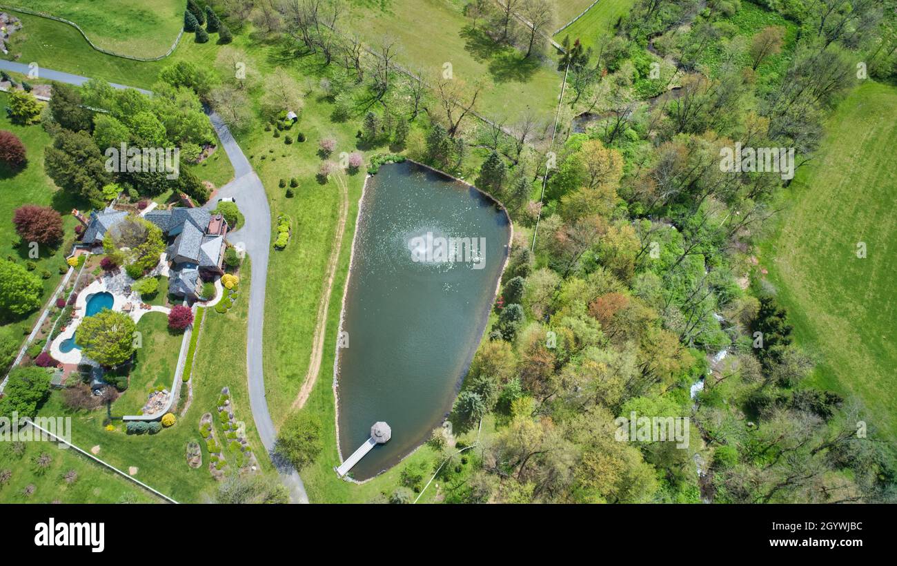 An Aerial View of Beautifully Blooming Trees and Plants and Unique ...