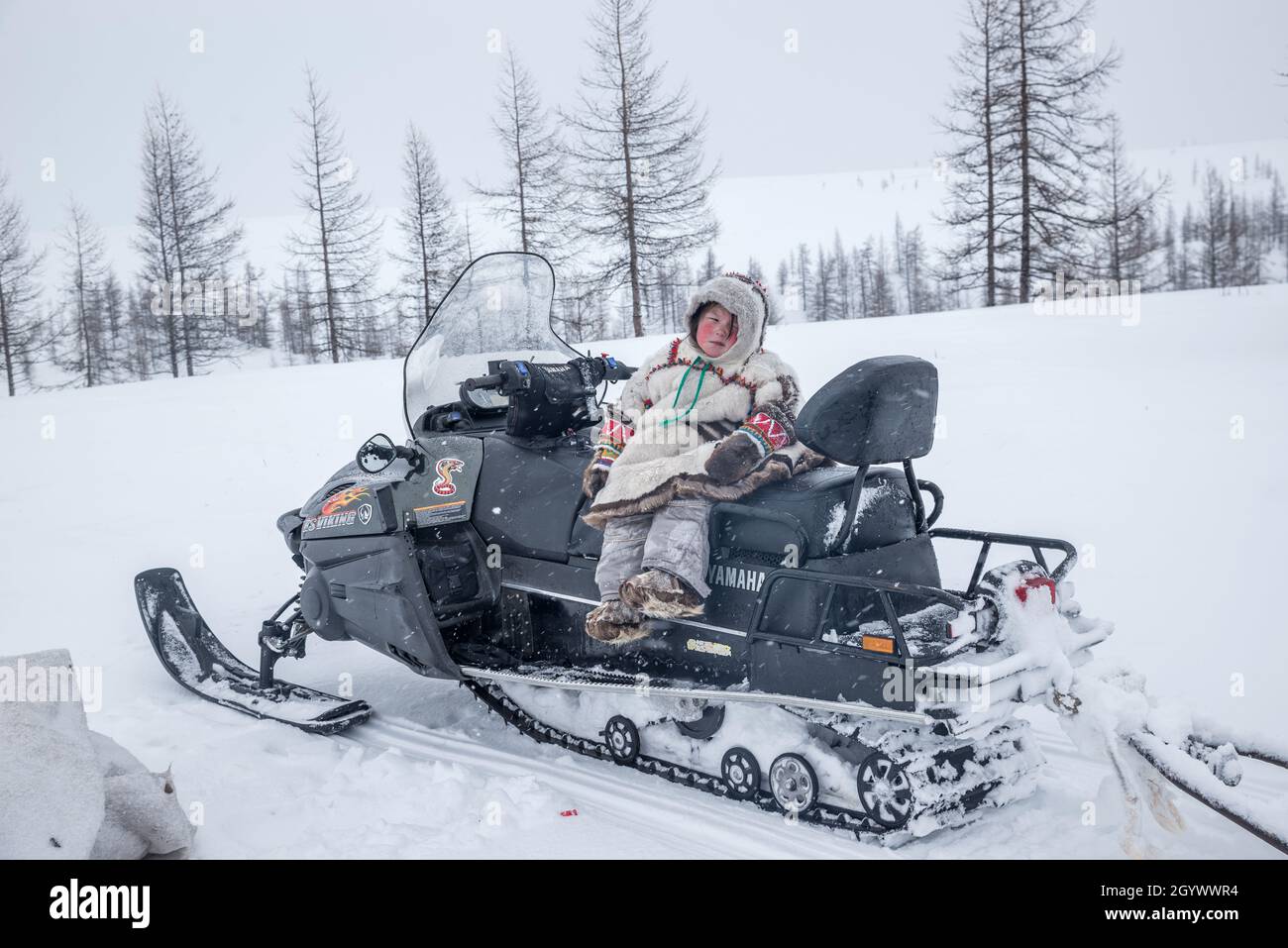 A Nenet young girl on a snowmobile before a winter migration, Yamalo ...
