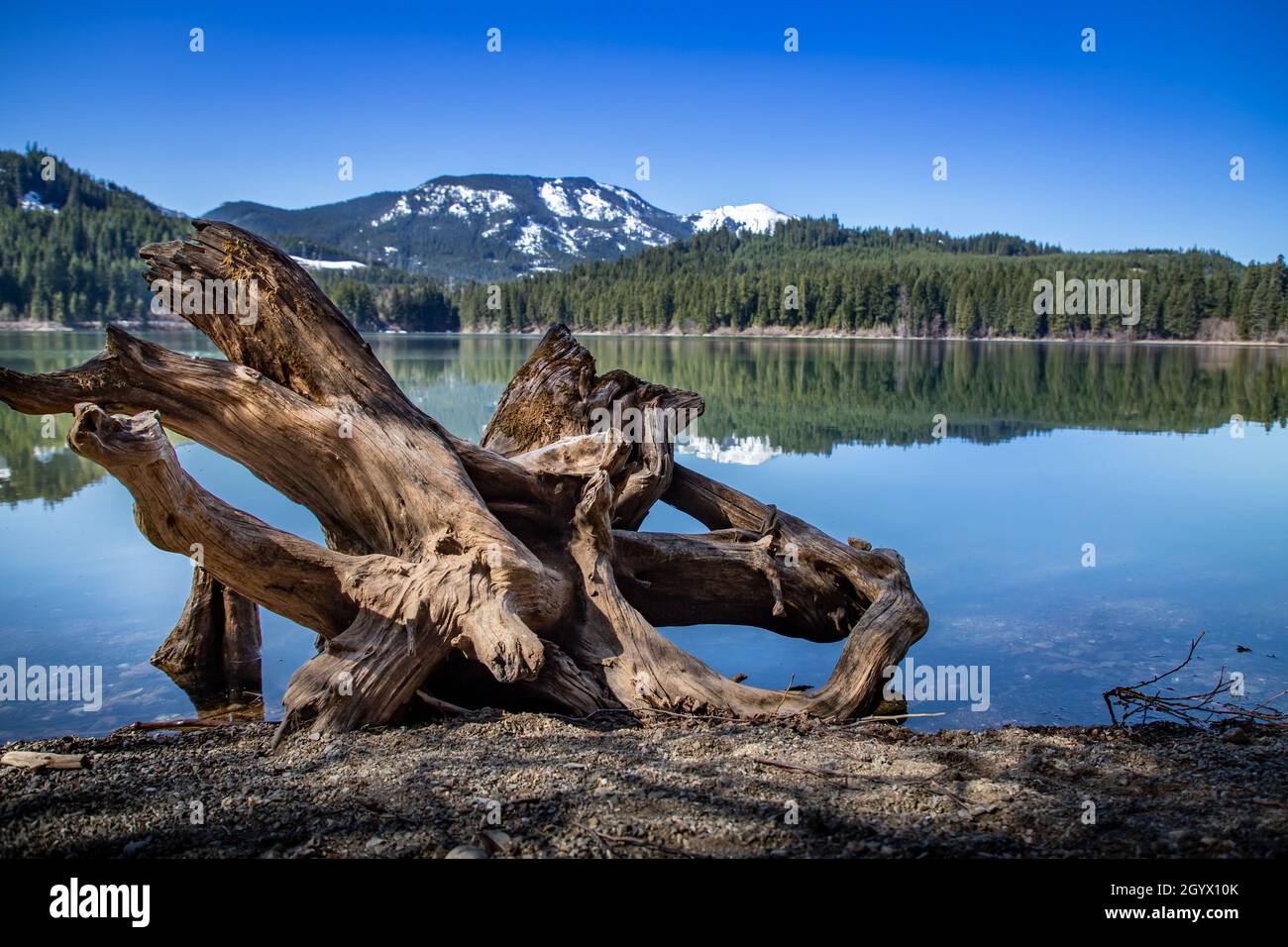 Lake Easton State Park in Washington State on an Early Spring Morning ...