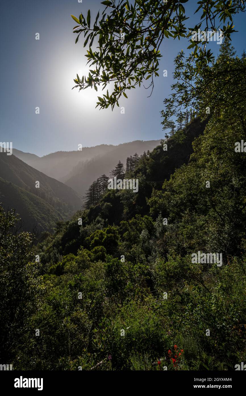 Clear skies on early hi-res stock photography and images - Alamy