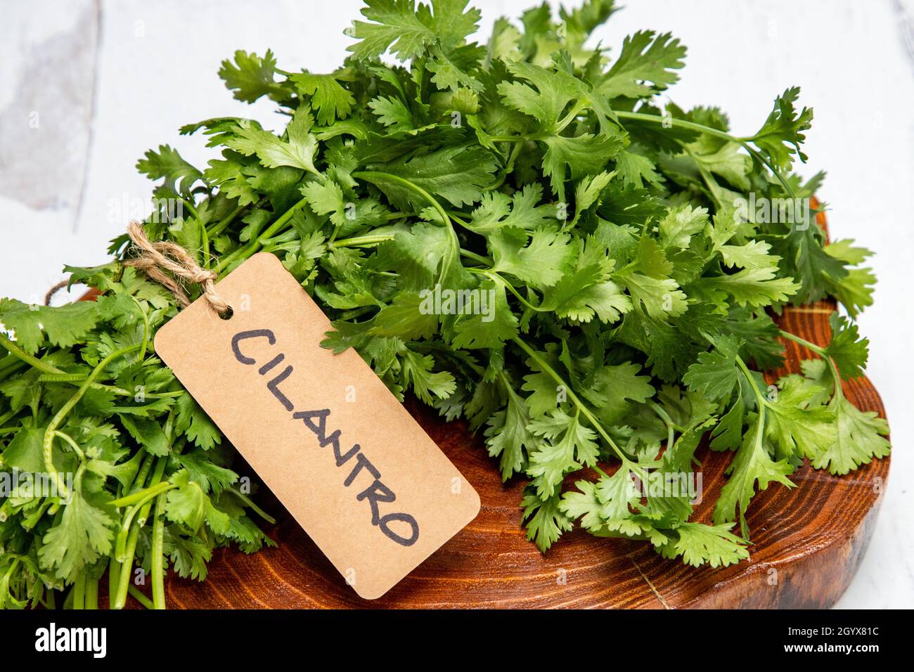 Cilantro Bunch With Handwritten Tag Stock Photo - Alamy