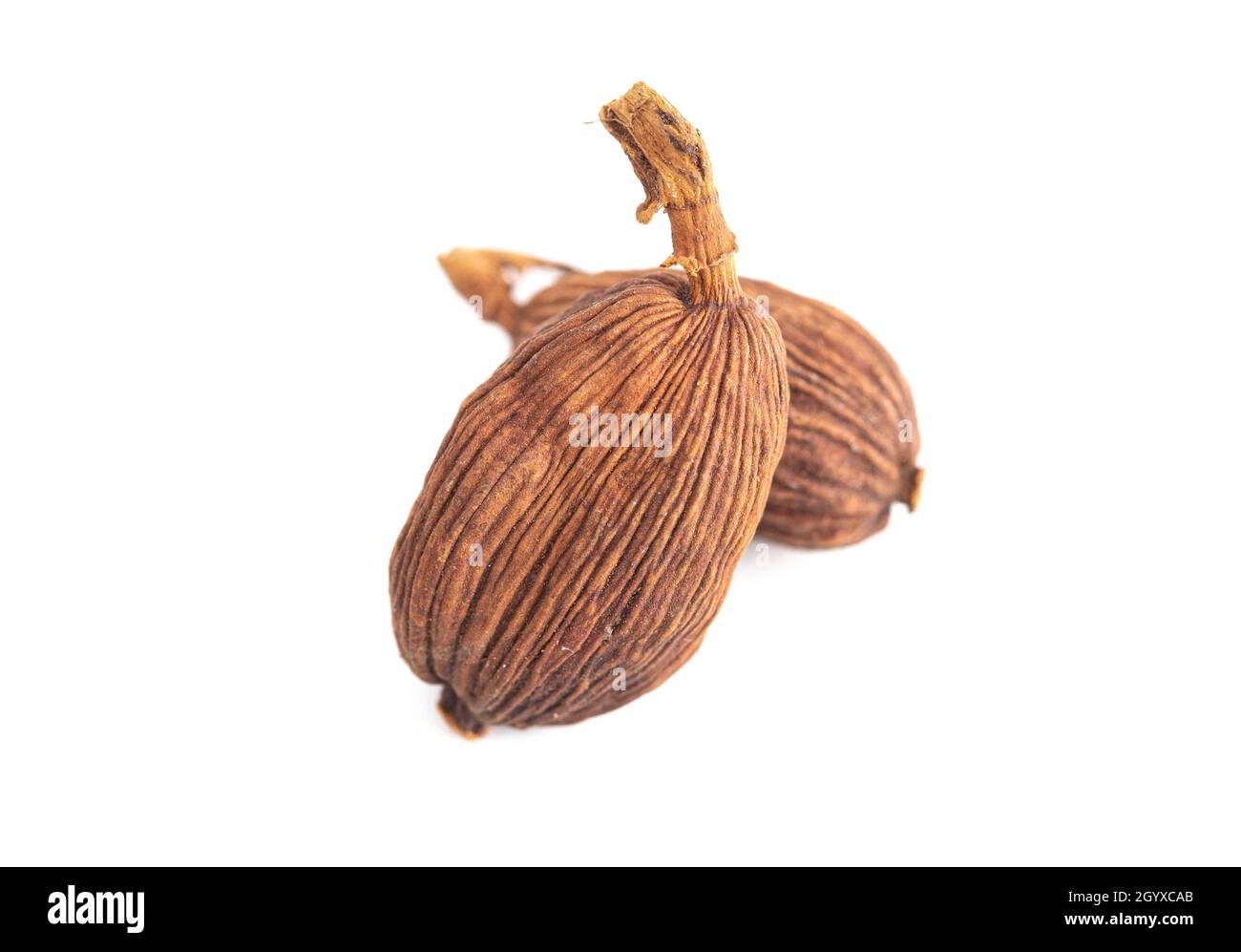Black Cardamom Pods on a White Background Stock Photo - Alamy