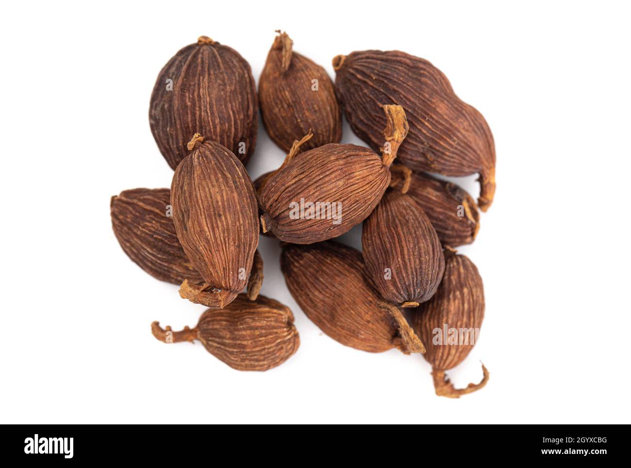 Black Cardamom Pods on a White Background Stock Photo - Alamy