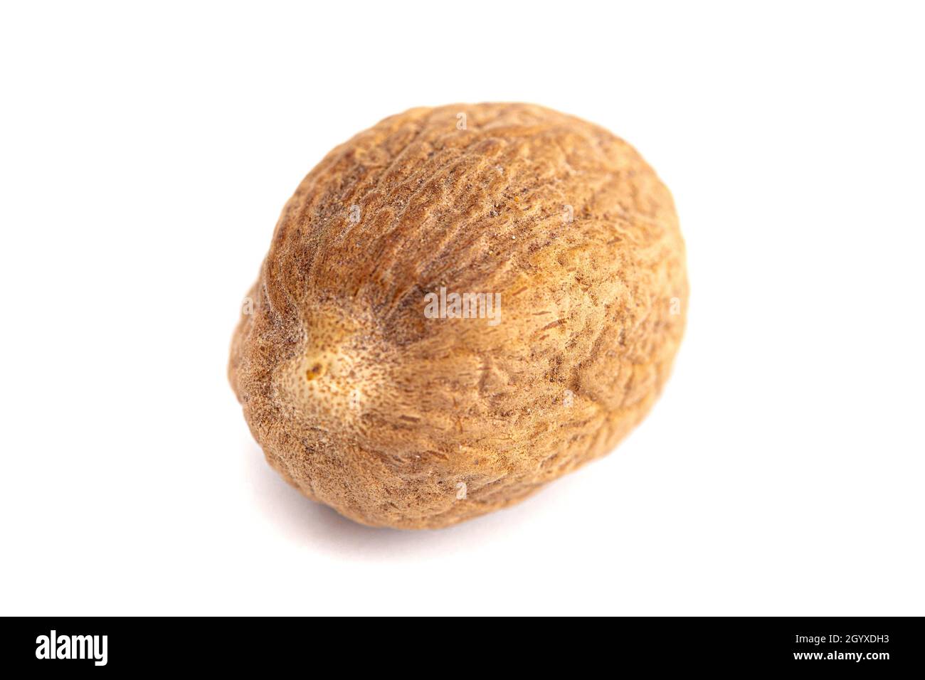 Nutmeg Isolated on a White Background Stock Photo - Alamy