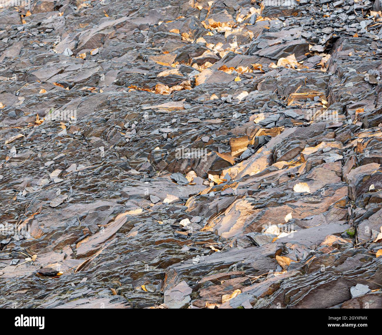 shale rocks background and texture colored Stock Photo - Alamy