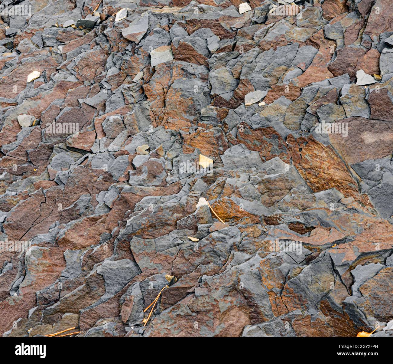 shale rocks background and texture colored Stock Photo - Alamy
