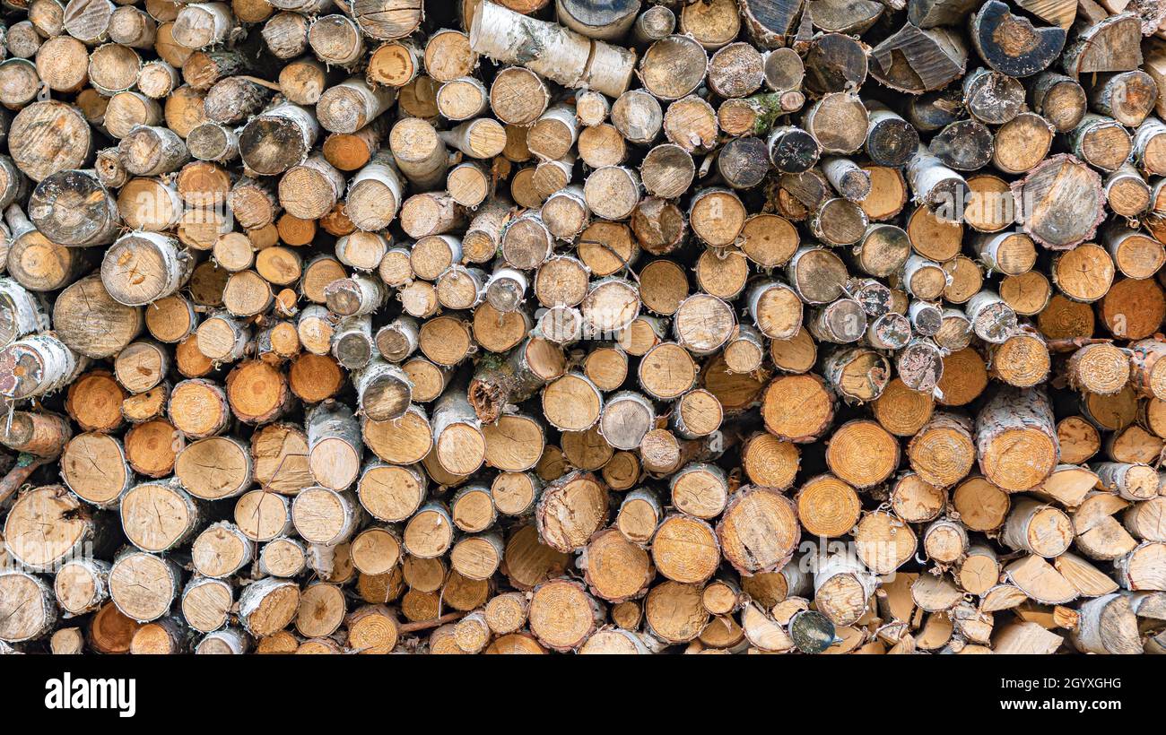 Firewood stacked in woodshed hi-res stock photography and images - Alamy