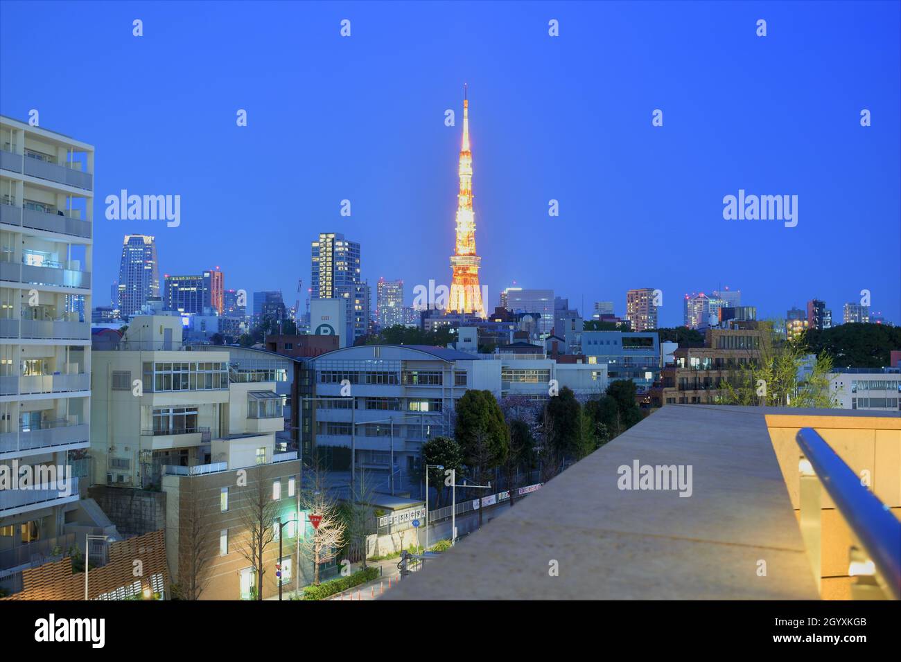 The famous Tokyo Tower illuminated at night scenery with buildings in ...