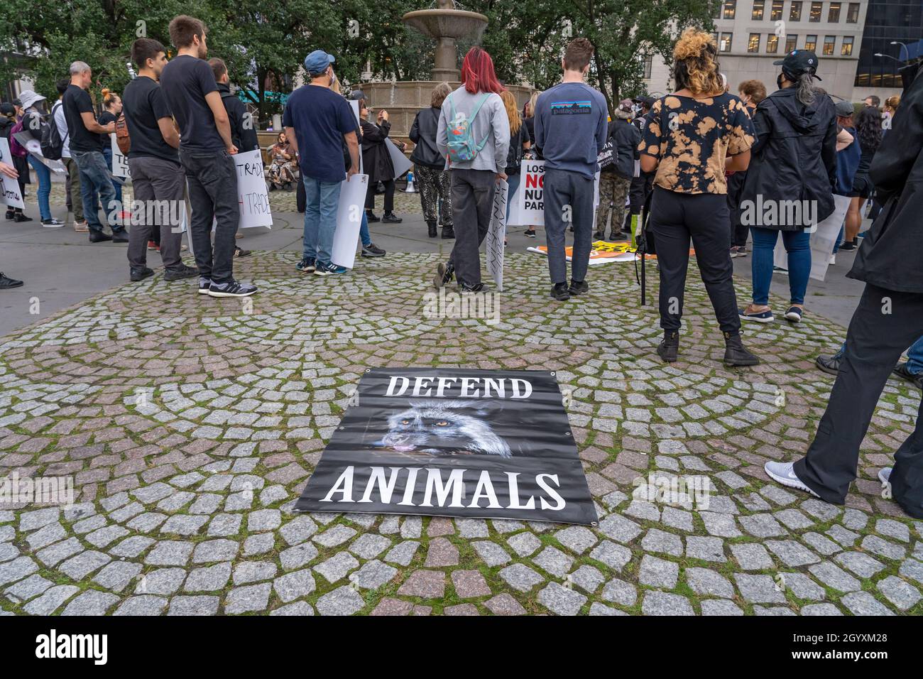 Coalition of animals rights activists hi-res stock photography and ...