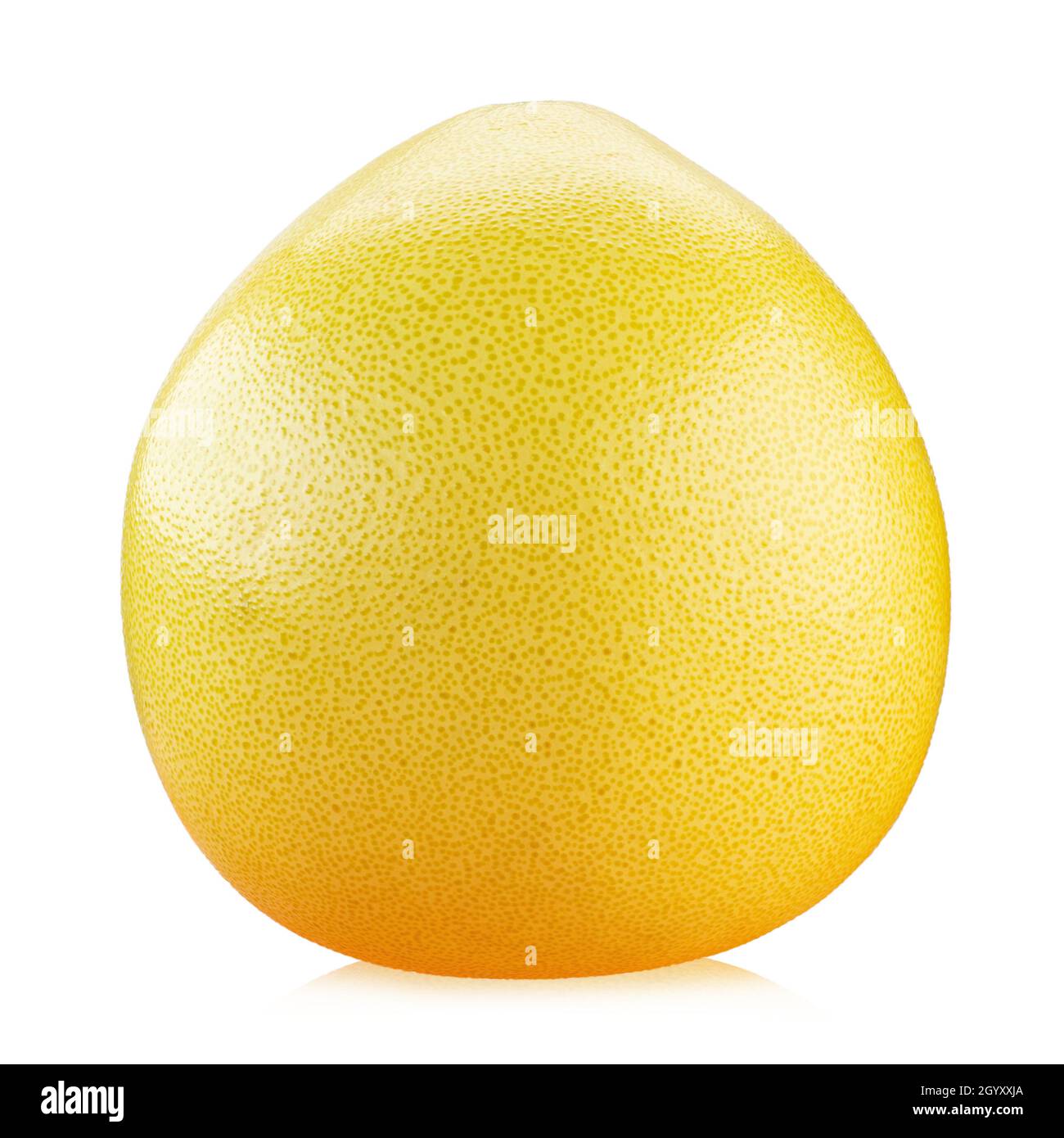 Pomelo citrus fruit on white background, Pomelo isolated on white ...