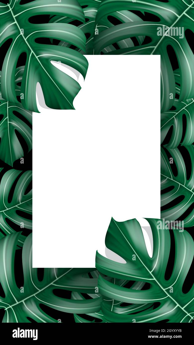 Vector realistic paper white Stock Vector Images - Alamy