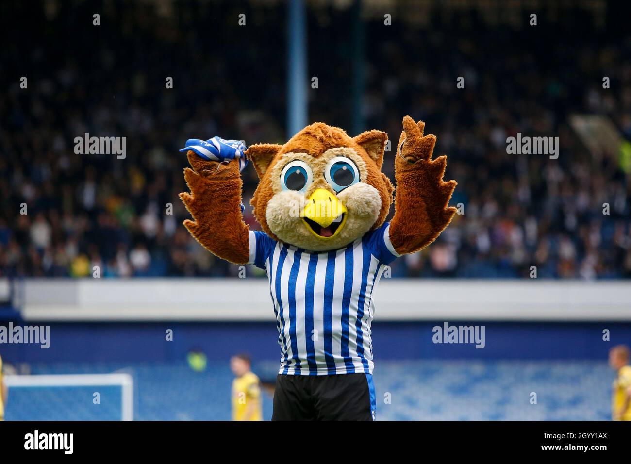 Sheffield wednesday mascot ozzie the owl hi-res stock photography and ...