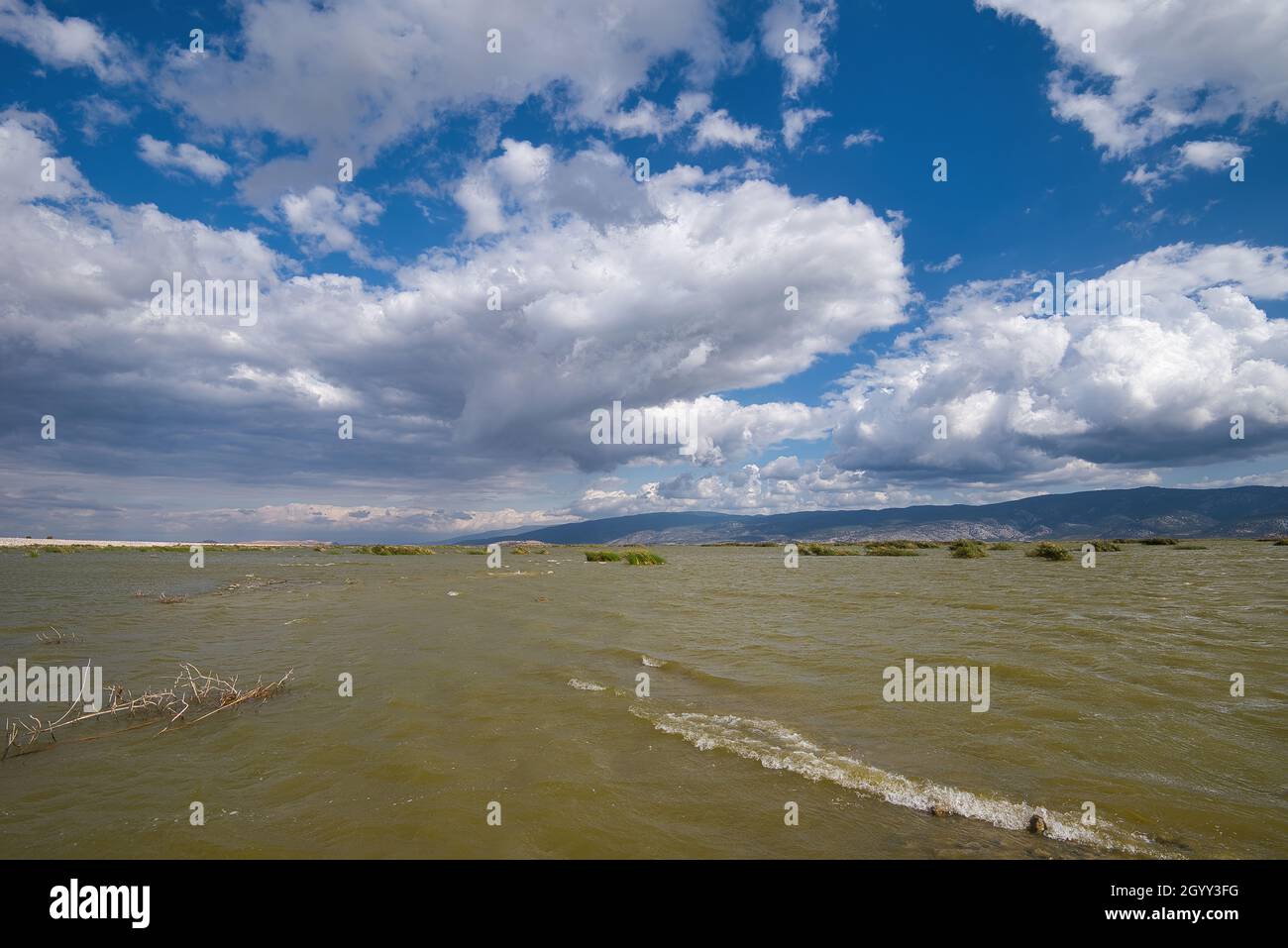 the beautiful lake Carla or Karla , protected wetland, ecology, Volos ...