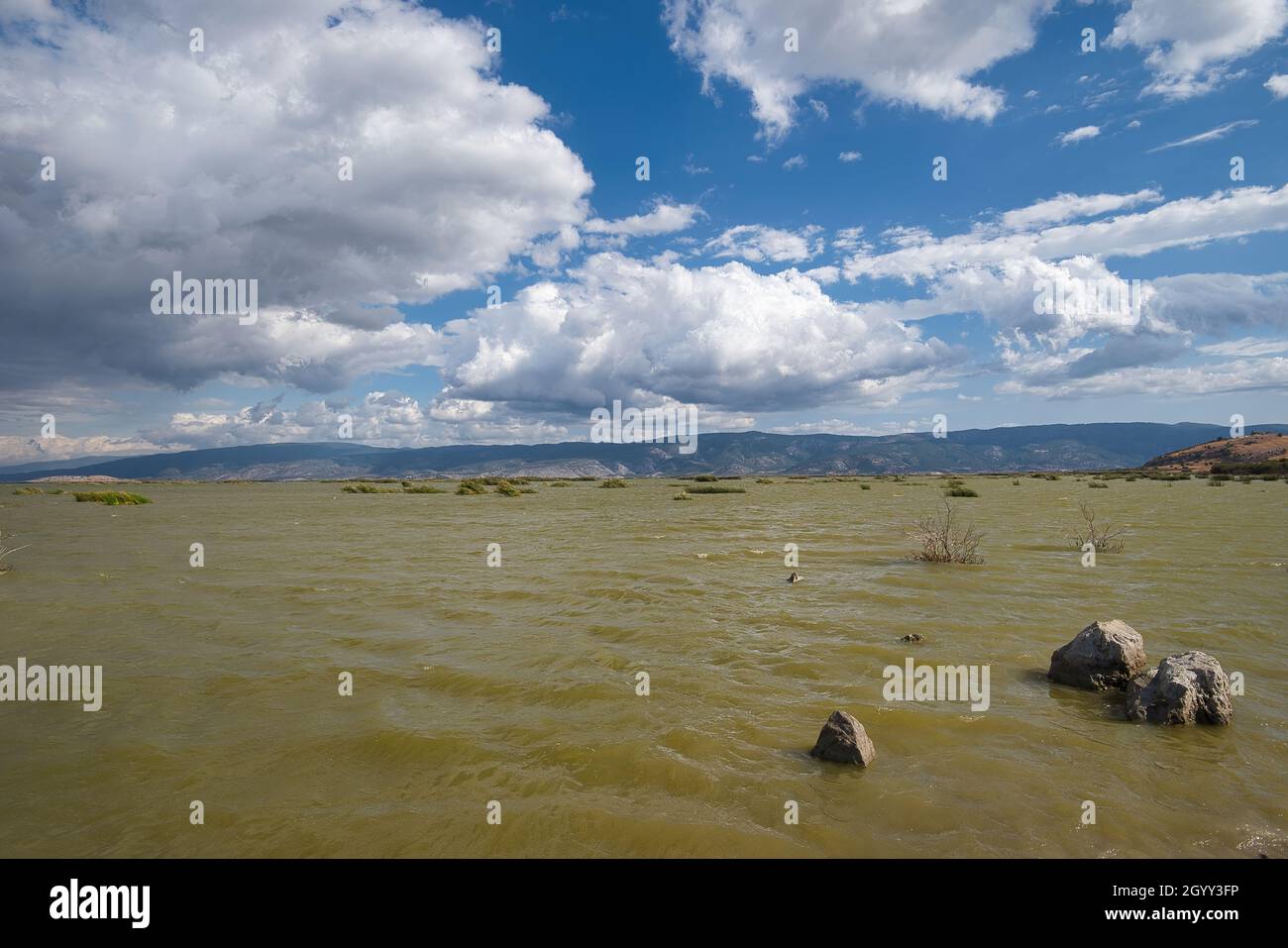 the beautiful lake Carla or Karla , protected wetland, ecology, Volos ...