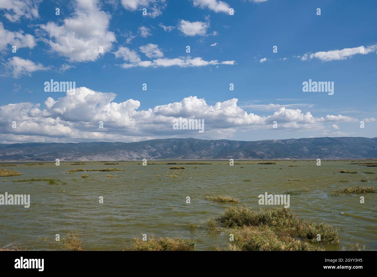 the beautiful lake Carla or Karla , protected wetland, ecology, Volos ...