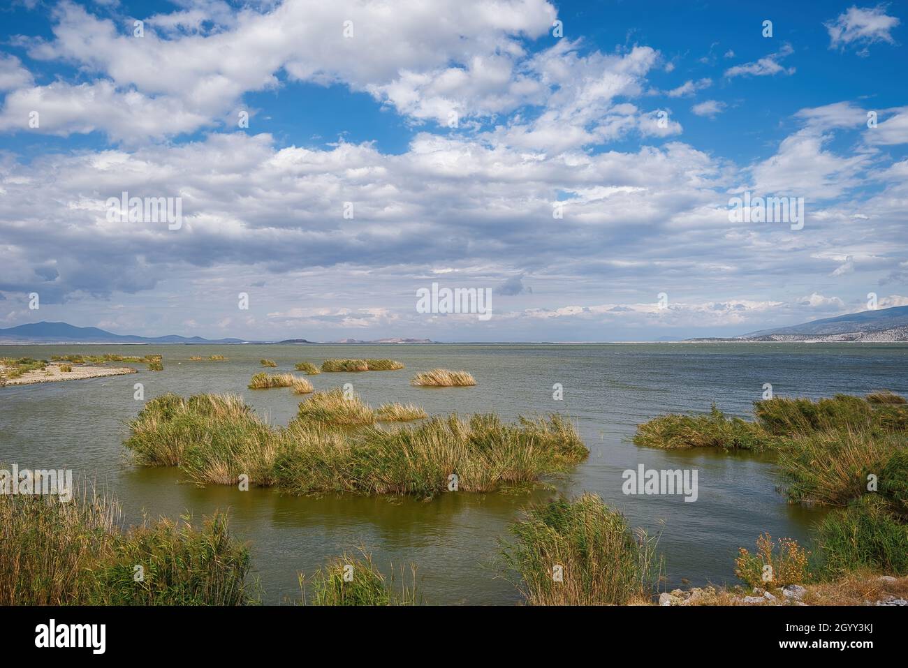 the beautiful lake Carla or Karla , protected wetland, ecology, Volos ...