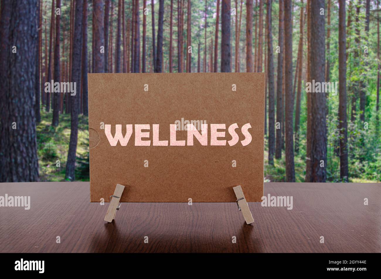 Wellness text on card on the table with pine forest background Stock ...