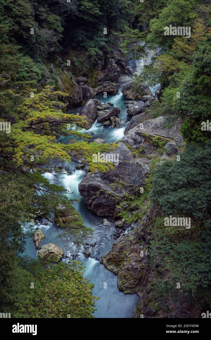 Autumn colours and river.Slow shutter image of Tama river in the ...