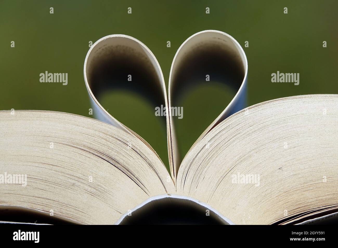 the pages of a book form the symbol of a heart. Concept of love for ...