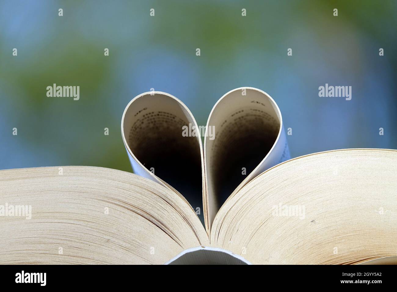 the pages of a book form the symbol of a heart. Concept of love for ...