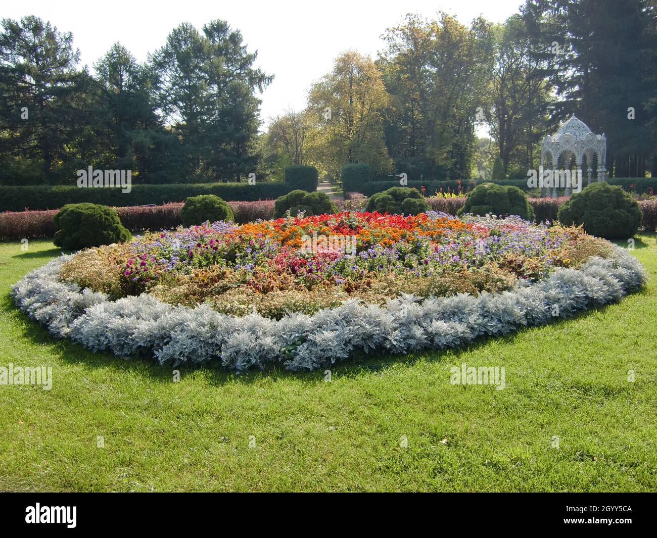 Belarus flowers hi-res stock photography and images - Alamy