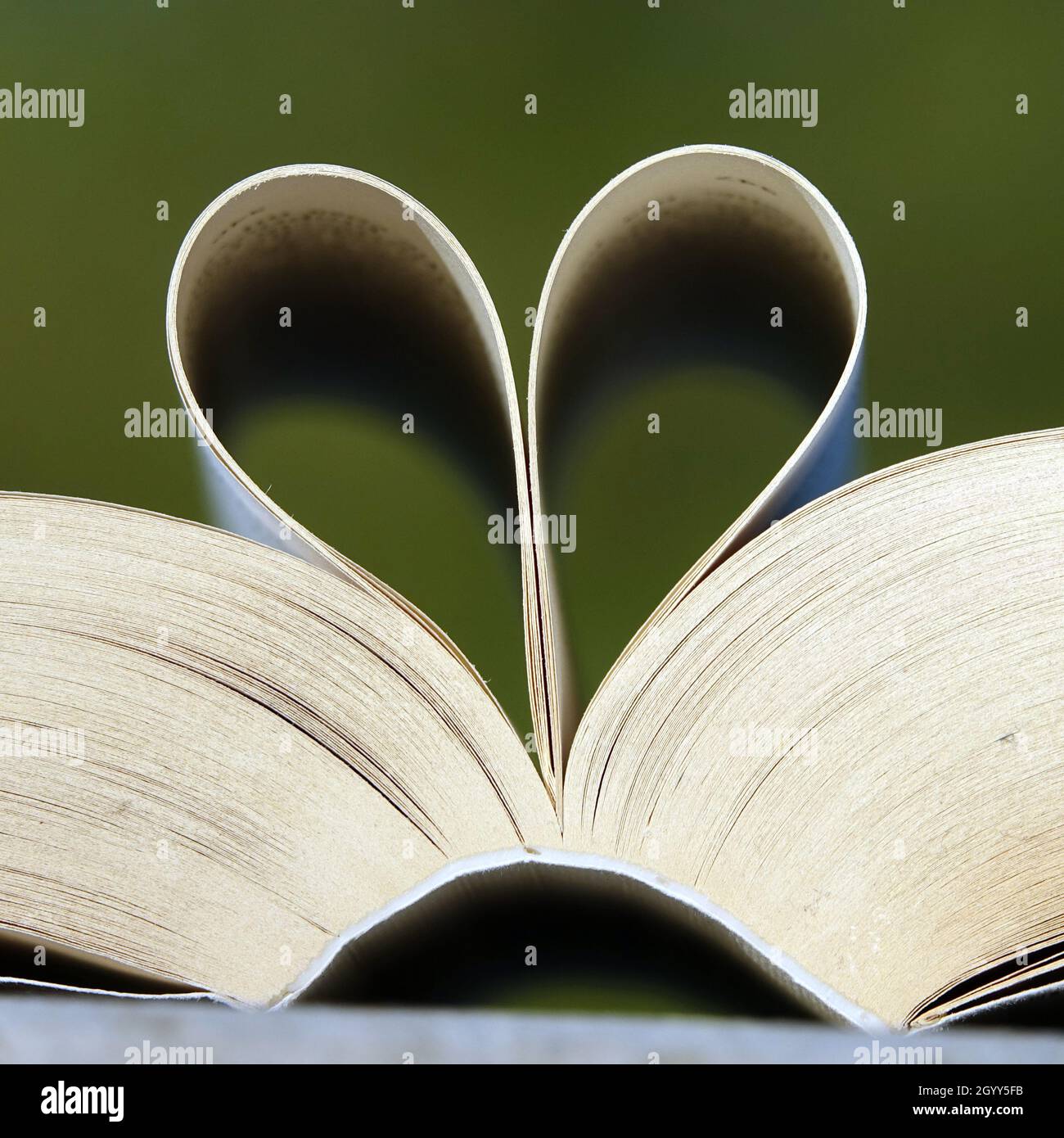 the pages of a book form the symbol of a heart. Concept of love for ...