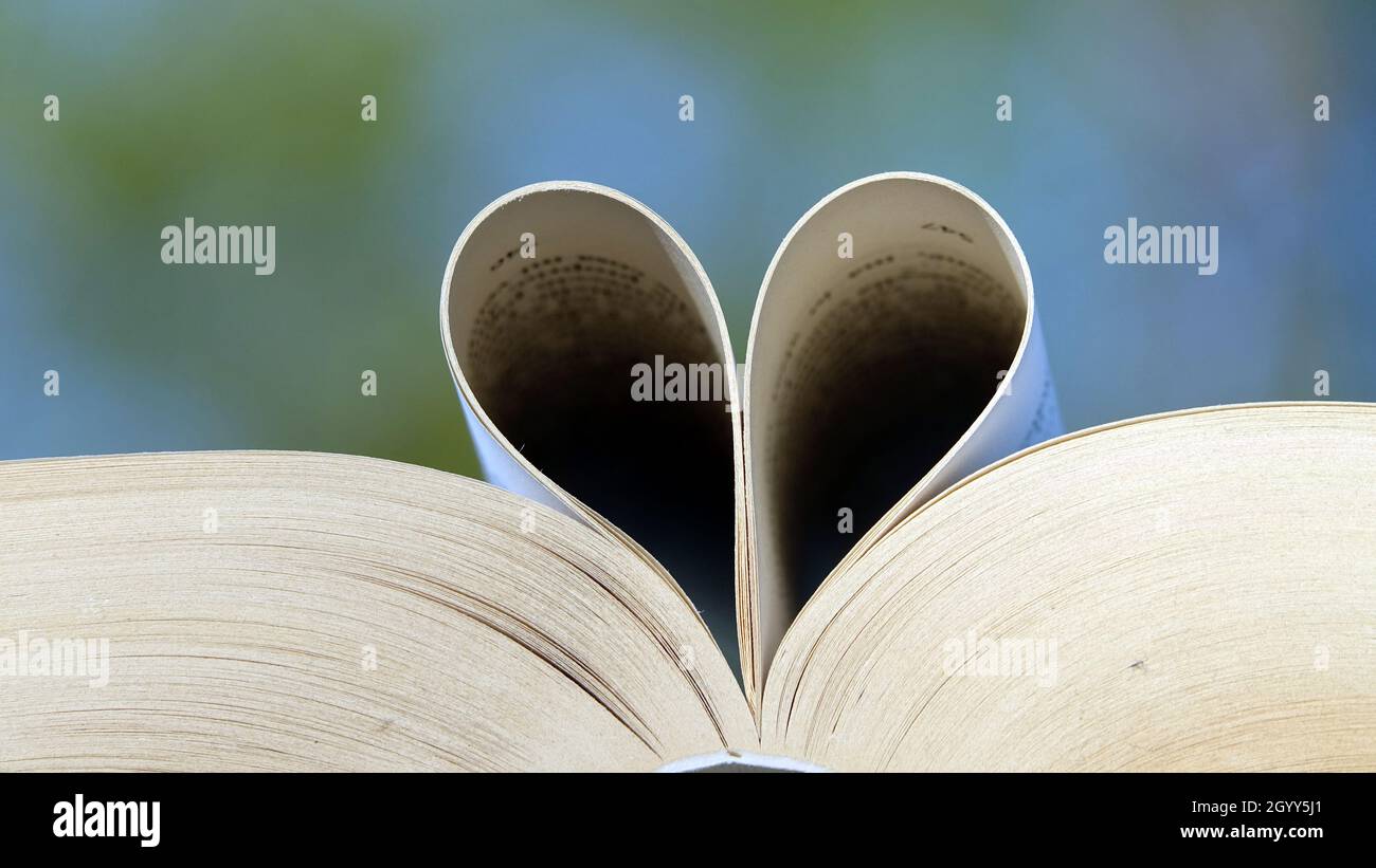 the pages of a book form the symbol of a heart. Concept of love for ...