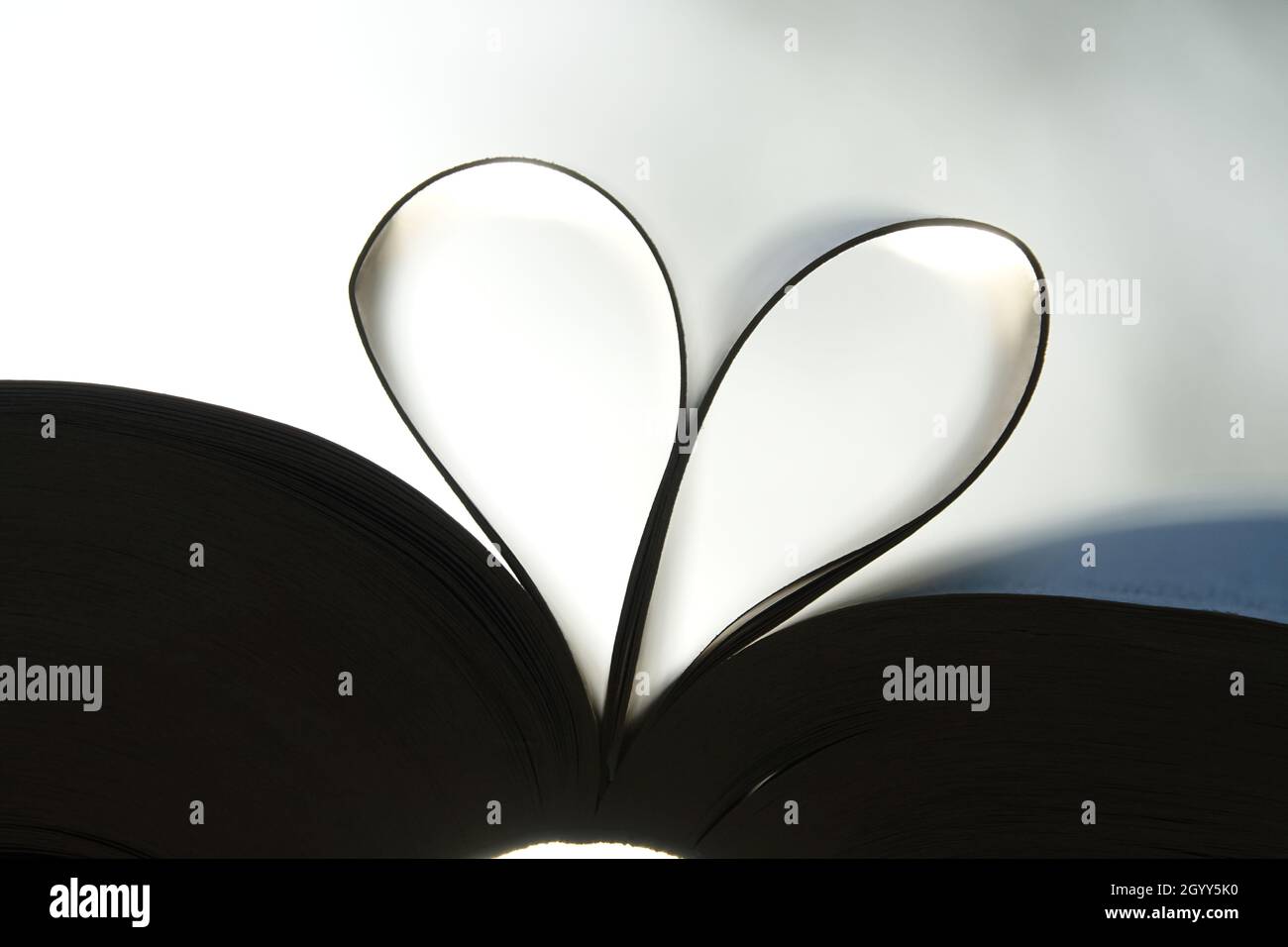the pages of a book form the symbol of a heart. Concept of love for ...
