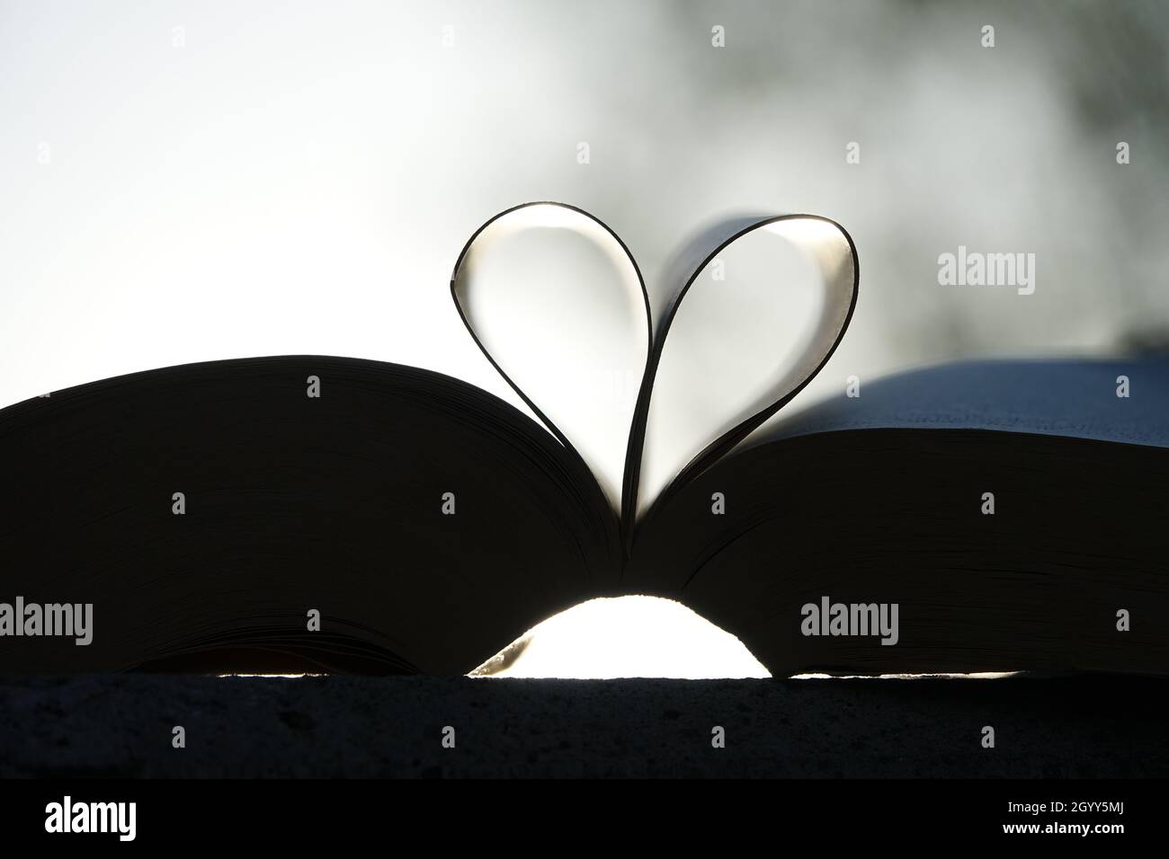 the pages of a book form the symbol of a heart. Concept of love for ...